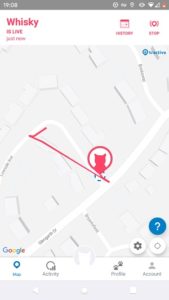 The (Actual) 9 Best Cat Trackers