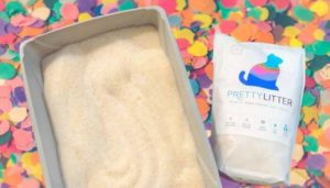 Pretty Litter Colours: What Do They Mean? - Tuxedo Cat